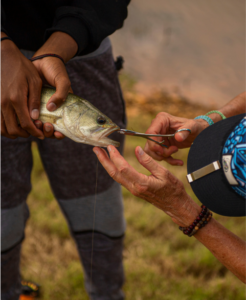 Register a Child | The Mayfly Project